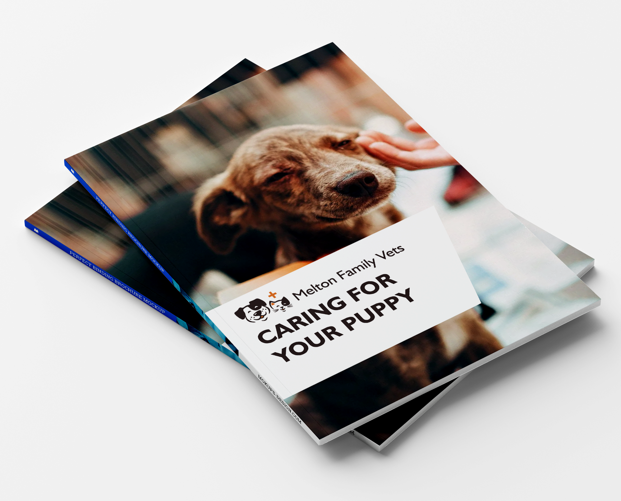 Melton Family Vet. Advanced vet care for your pet.